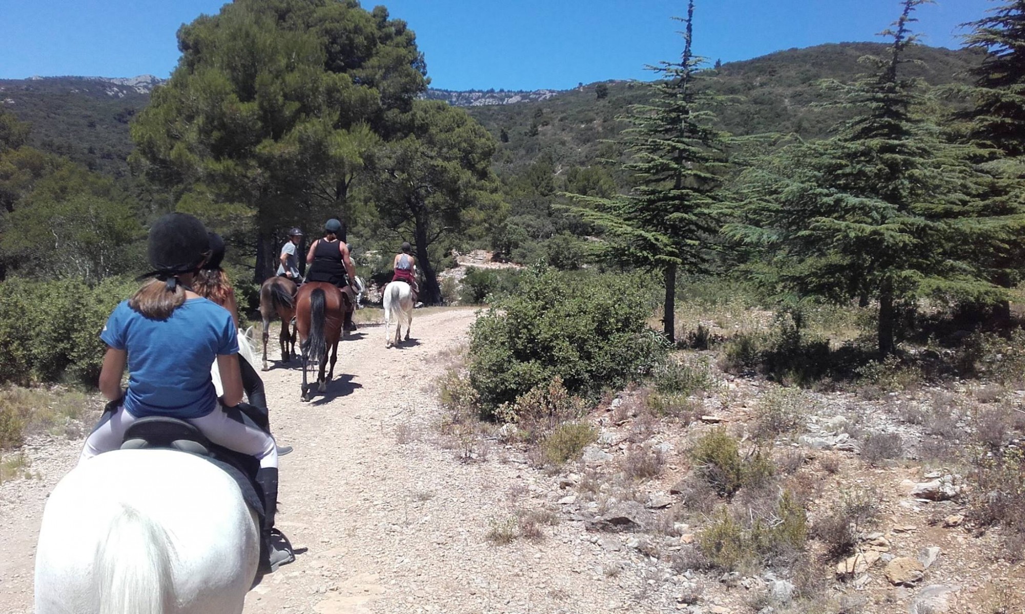 randonnee cheval aix en provence