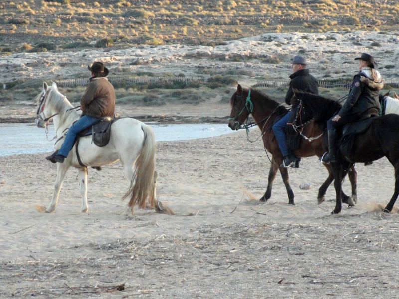 Voyage à cheval en ANDALOUSIE : PARC CABO DE GATA , PLAGES SAUVAGES DE ...