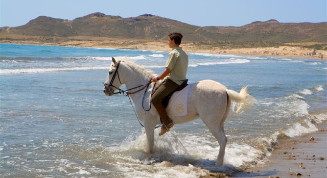 Andalousie : Echappée à cheval sur les plages sauvages | Cap Rando ...